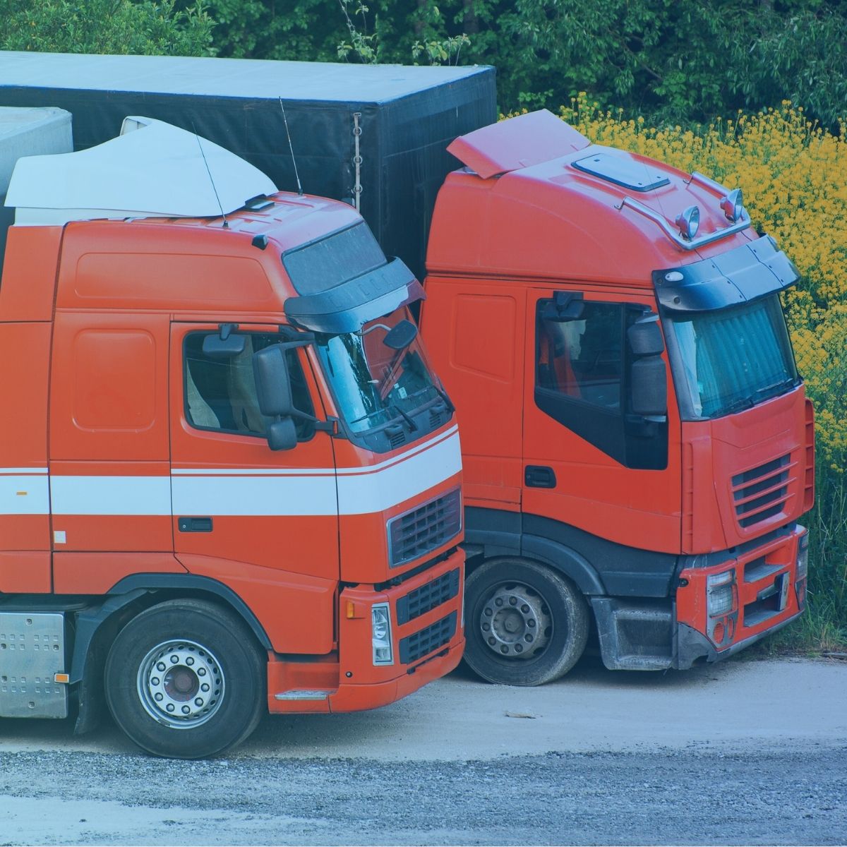 Use your Eurowag card for truck services - TRAVIS